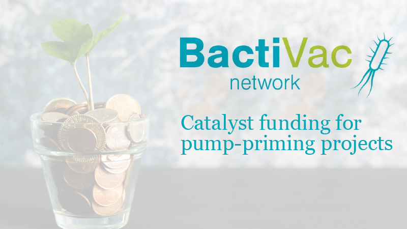 BactiVac catalyst funding for pump-priming projects (round 5) | IVVN