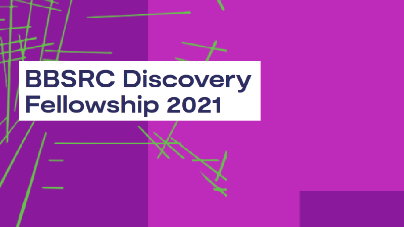 BBSRC Discovery Fellowship 2021 | IVVN