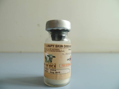 National Veterinary Research Institute, Vom, Nigeria | IVVN