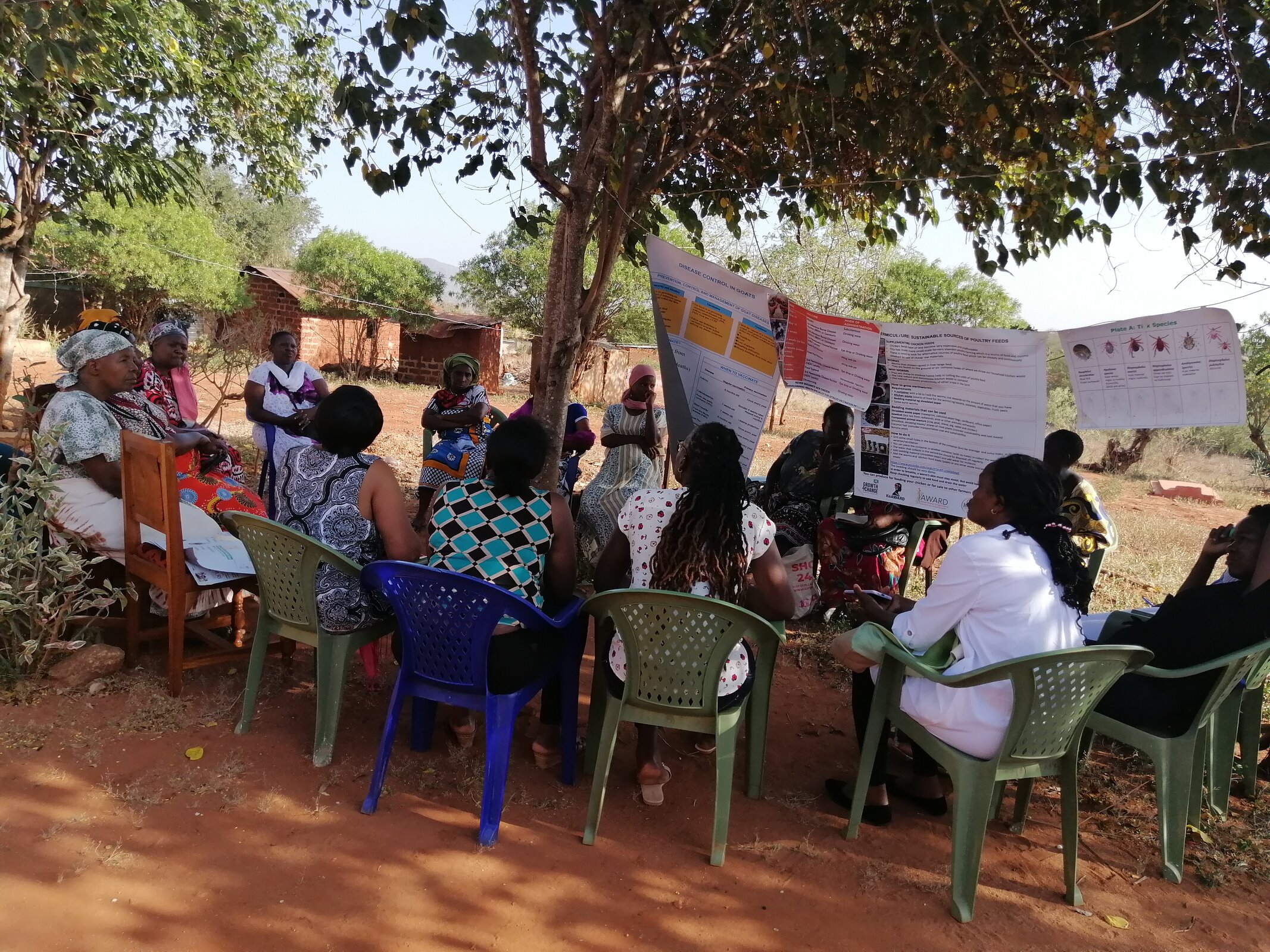 International Day of Women and Girls in Science celebrated with ...