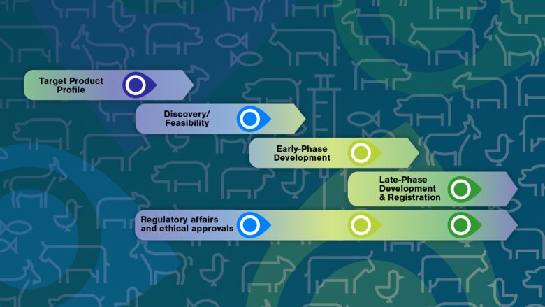 Launch of Veterinary Vaccine Development Process Map | IVVN
