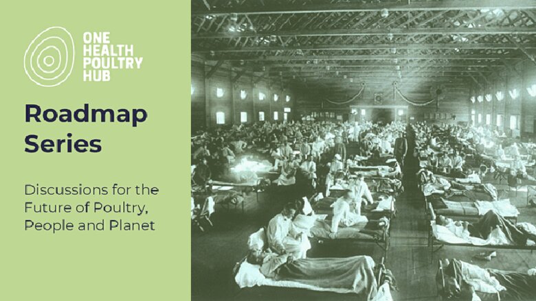 Pandemics: past, present and future | IVVN