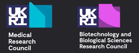 Developmental Pathway Funding Scheme: Stage One | IVVN