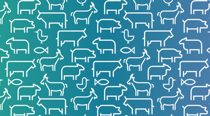 IVVN | International Veterinary Vaccinology Network